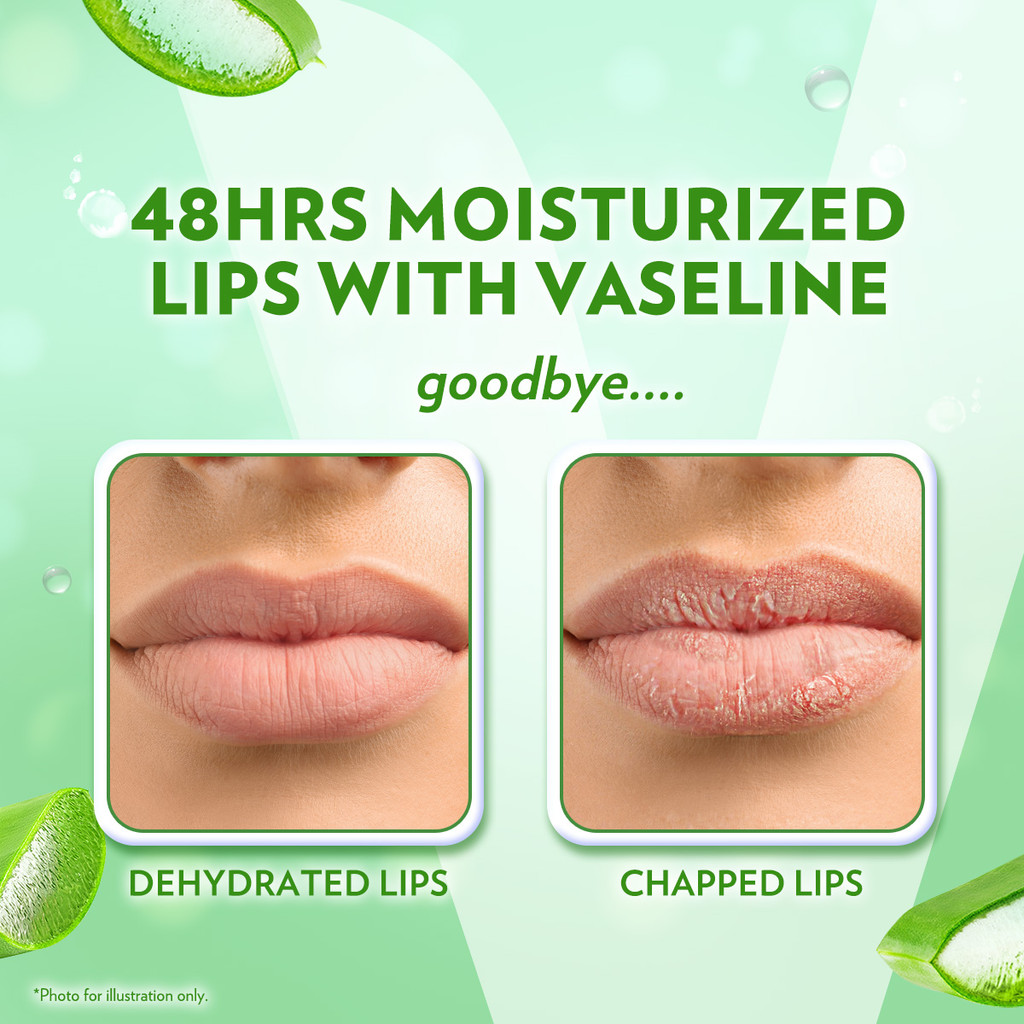 VASELINE Lip Aloe Vera Lip Balm Stick With Petroleum Jelly 4.8G | Shopee Philippines
