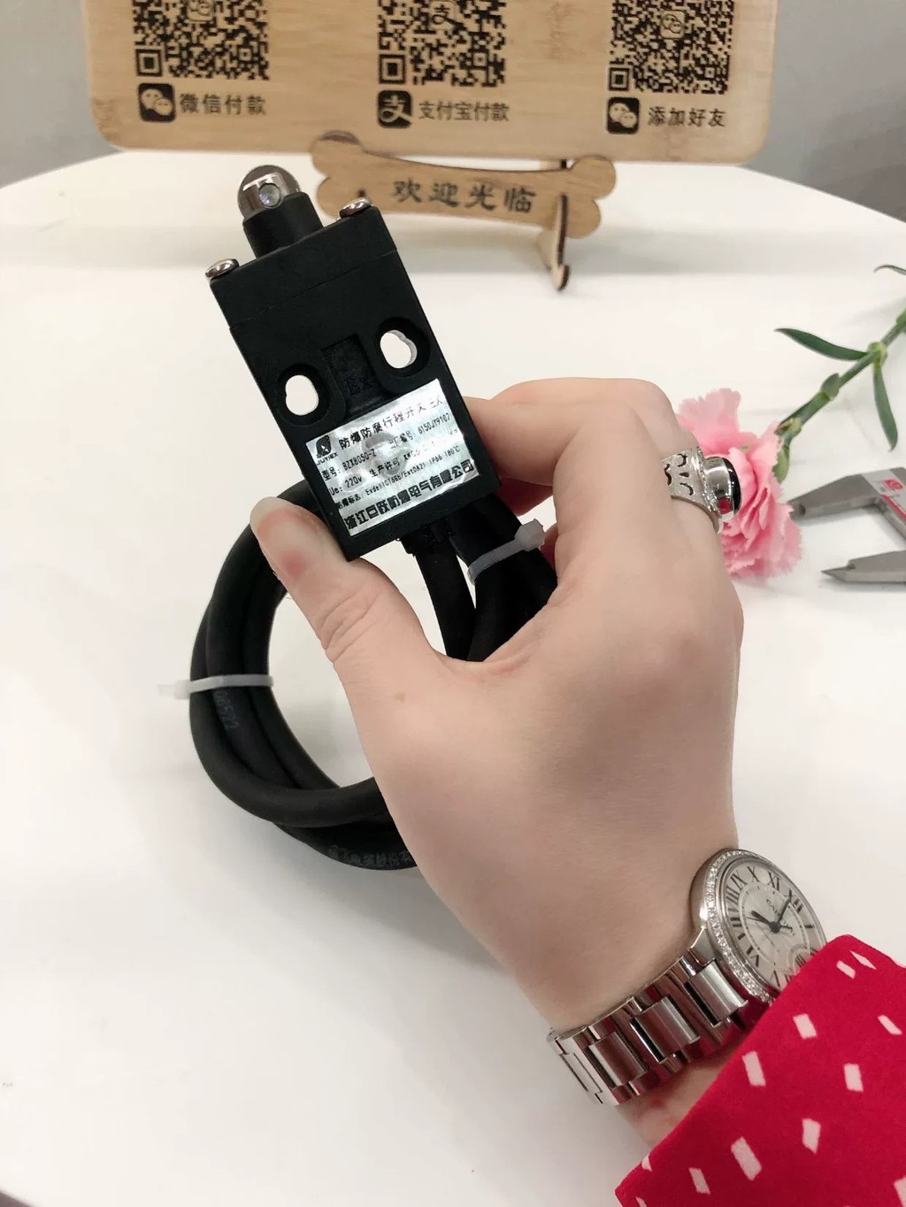 COD/ BZX8050 Explosion-proof and Corrosion-resistant Limit Switch, Z ...