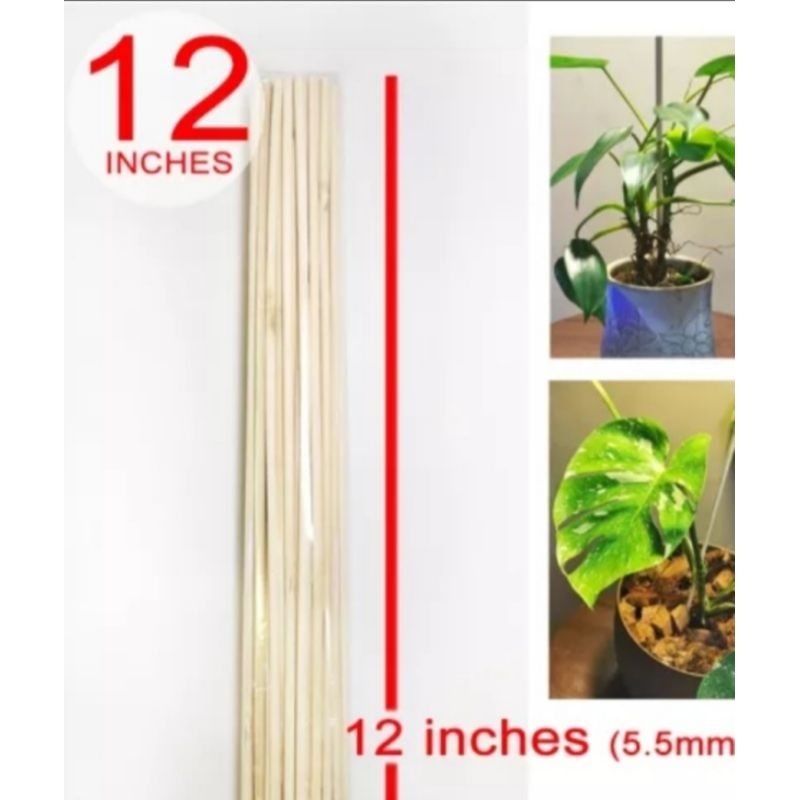 12in Bamboo Plant Support /Dowel | Shopee Philippines
