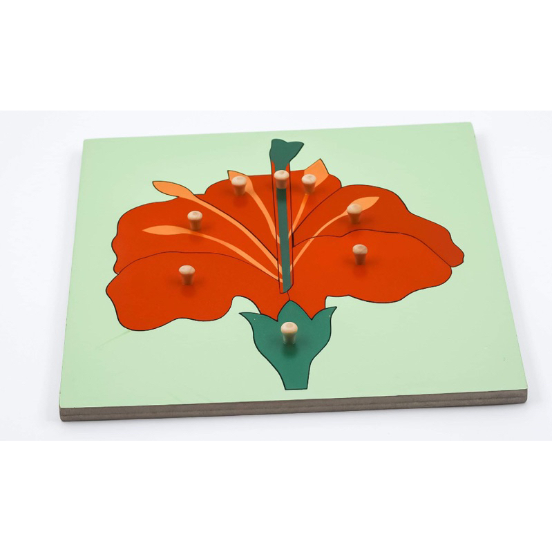 Montessori Botany Zoology Puzzle | Tree | Leaf | Flower | Bird | Fish ...