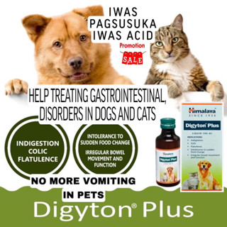Himalaya Digyton Plus Digestive Stimulant For Dogs And Cats 100ml ...