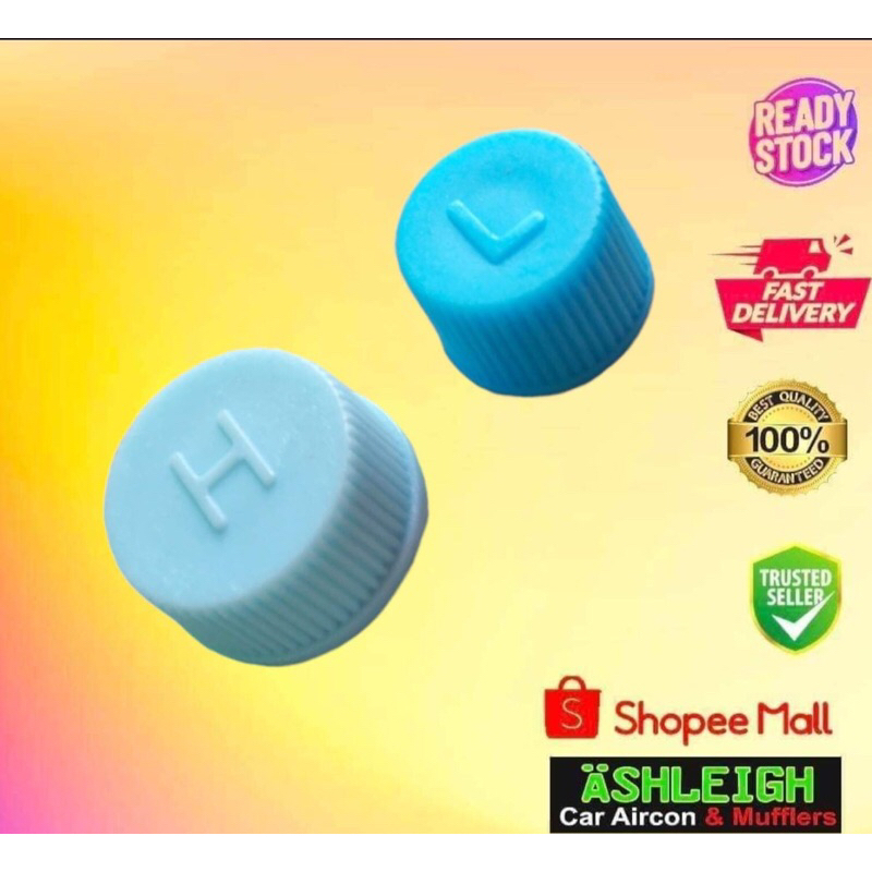 Ashleigh Charging Cap Pair High and Low Side Car Aircon Quality Parts ...