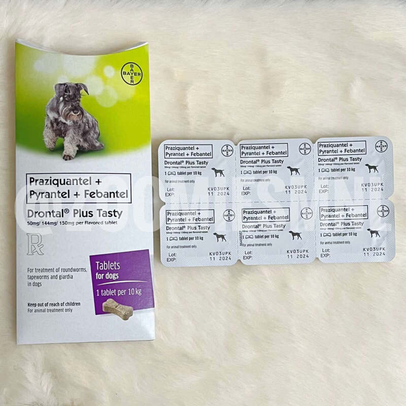 Drontal Plus Tasty Bone Shaped Dewormer Tablet | Shopee Philippines