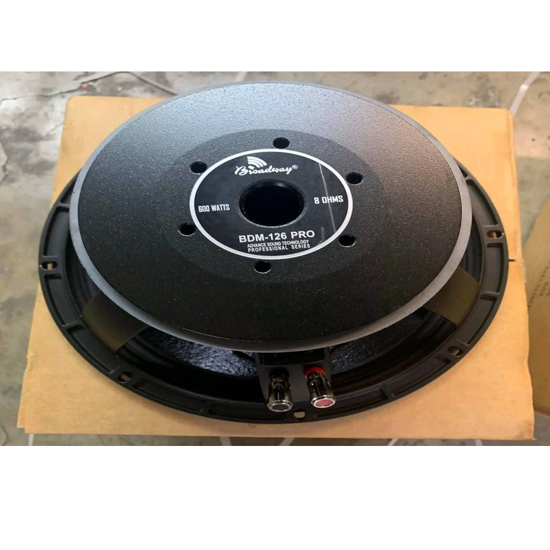 Broadway BDM-126 PRO 12INCHES SPEAKER 600WATTS | Shopee Philippines