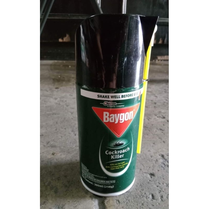 Baygon Cockroach Killer Spray | Shopee Philippines
