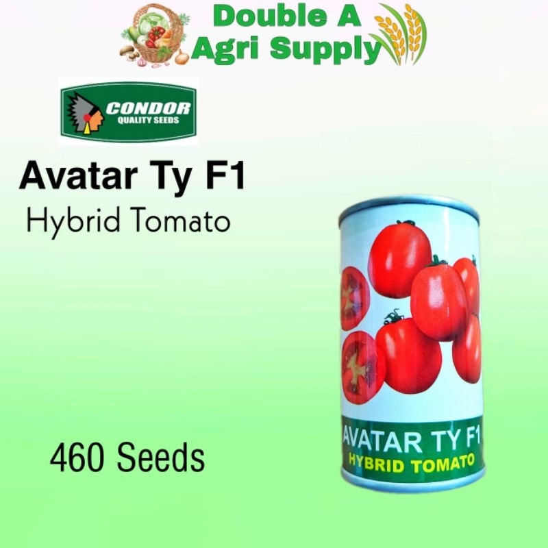 Avatar Ty F1 Hybrid Tomato Junior Can - Condor Quality Seeds | Shopee ...