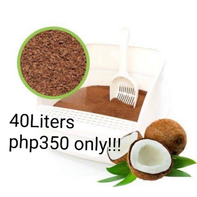 Jumbo 40L natural cat litter sand healthy cheap alternative for ...