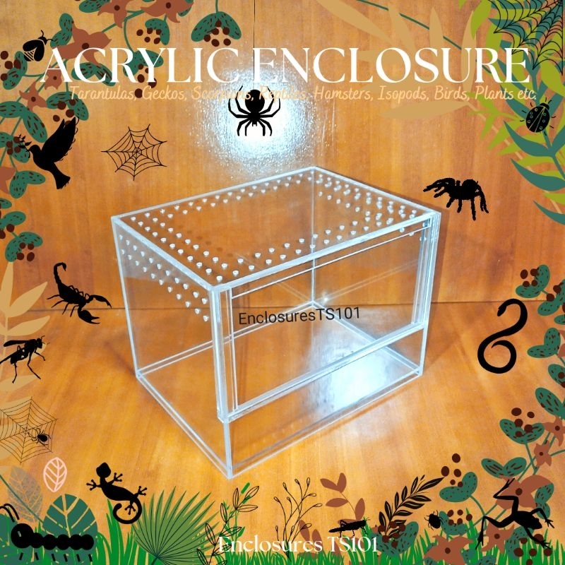 Acrylic Enclosure Cage Box for Tarantula, Scorpion, Reptiles, Isopods ...
