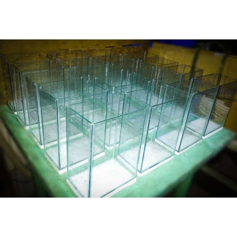 Aquarium Betta Tanks | Shopee Philippines