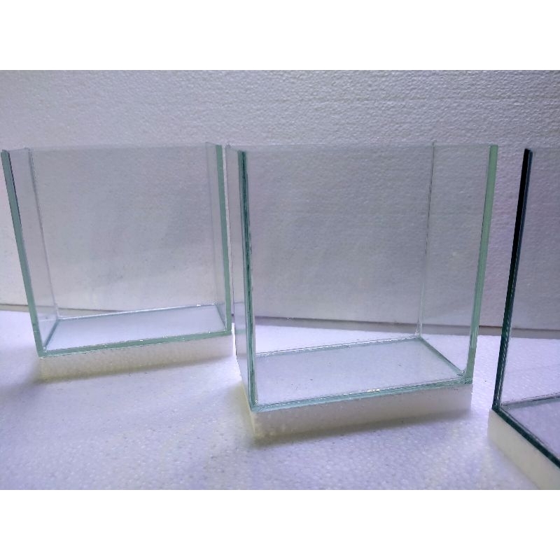 Viewing tank /Picture tank for guppies and small fishes 4x2x4 | Shopee ...