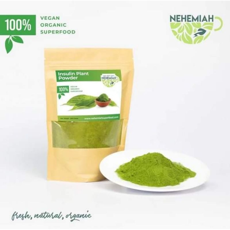 Pure Insulin Plant Powder 100g by Nehemiah Superfood | Shopee Philippines