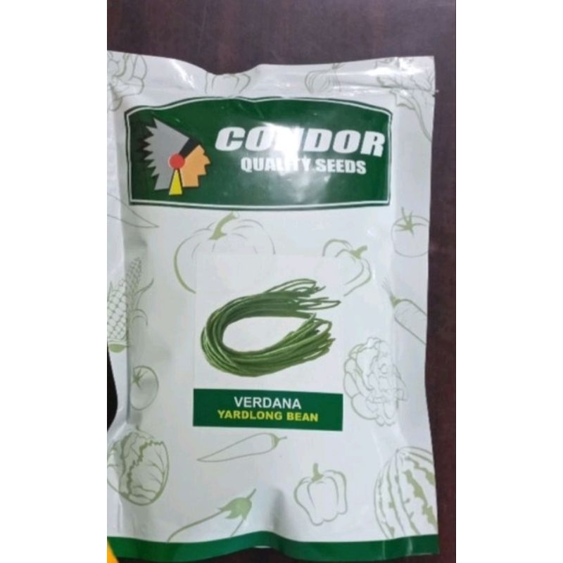 VERDANA YARDLONG BEAN POLE SITAW SEEDS 1 KILOGRAM (CONDOR) | Shopee ...