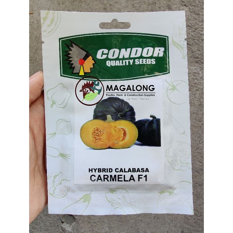 CONDOR SEEDS - CALABASA SEEDS - CARMELA F1 HYBRID 4 Grams | Shopee ...