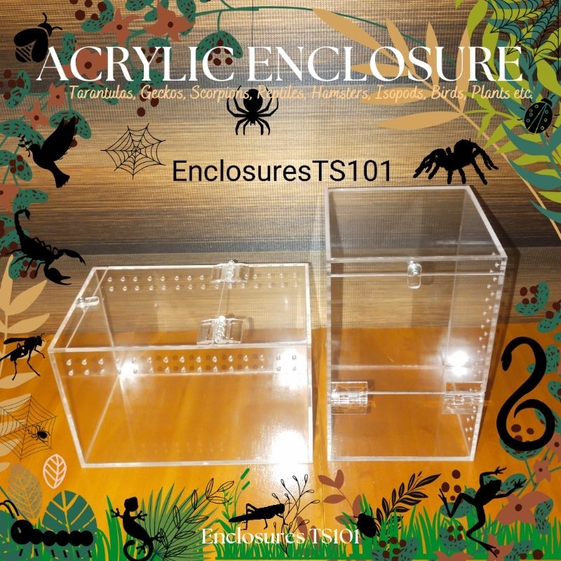 Acrylic Enclosure Tarantula, Isopods, Hamsters, Hatchling Snakes, Gecko ...