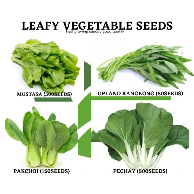 Leafy Veggies Seeds (SULIT PACK) Pechay/Mustasa/Kangkong/Pakchoi ...