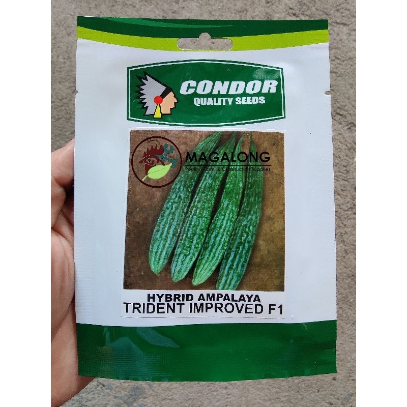 CONDOR SEEDS - AMPALAYA SEEDS - TRIDENT IMPROVED F1 HYBRID 3 GRAMS ...