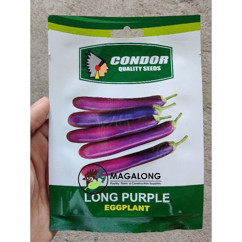 CONDOR SEEDS - EGGPLANT SEEDS - LONG PURPLE 3 GRAMS | Shopee Philippines