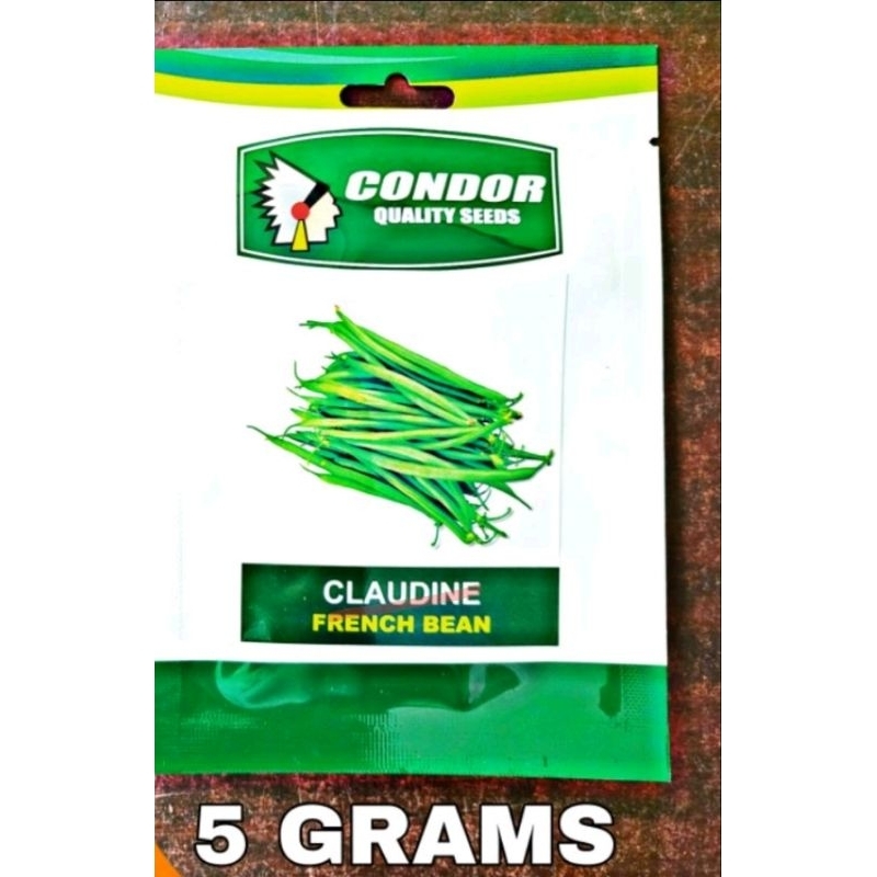 CLAUDINE FRENCH BEANS BUSH TYPE 5 GRAMS OR AROUND 25 SEEDS (CONDOR ...