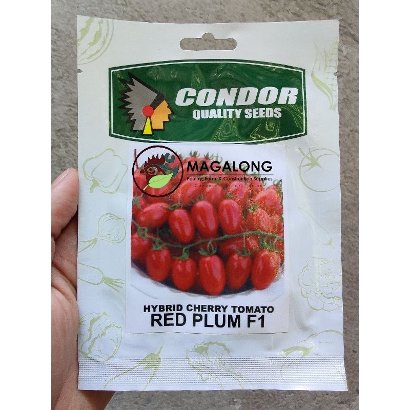 CONDOR SEEDS - TOMATO SEEDS - HYBRID CHERRY TOMATO RED PLUM F1 - 25 ...