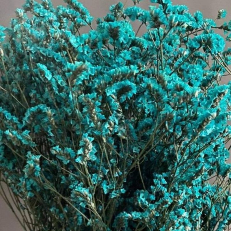 Dried Real Small Caspia Preserved Misty Gift Wedding Party Home ...