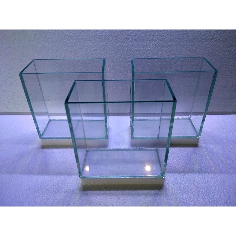 Viewing tank /Picture tank for guppies and small fishes 4x2x4 | Shopee ...