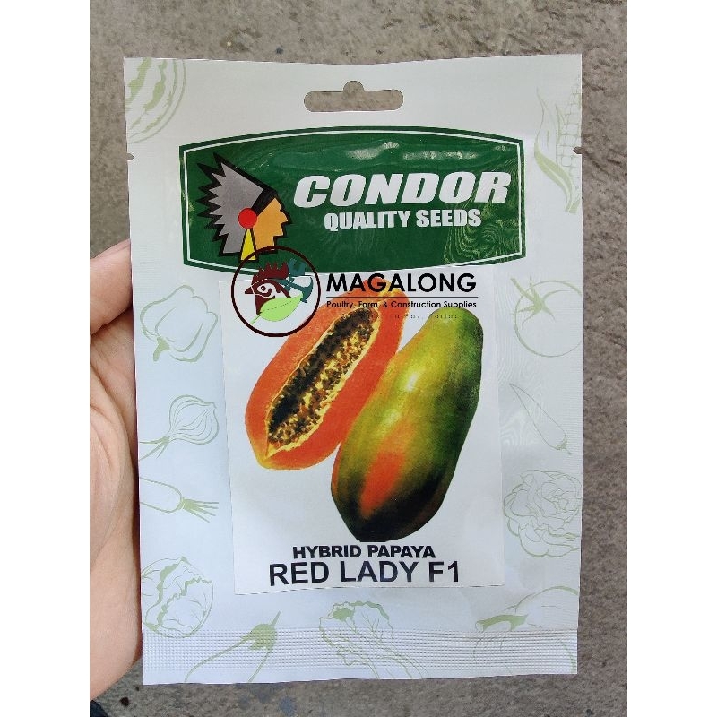 CONDOR SEEDS - PAPAYA SEEDS - RED LADY F1 HYBRID 15 SEEDS | Shopee ...