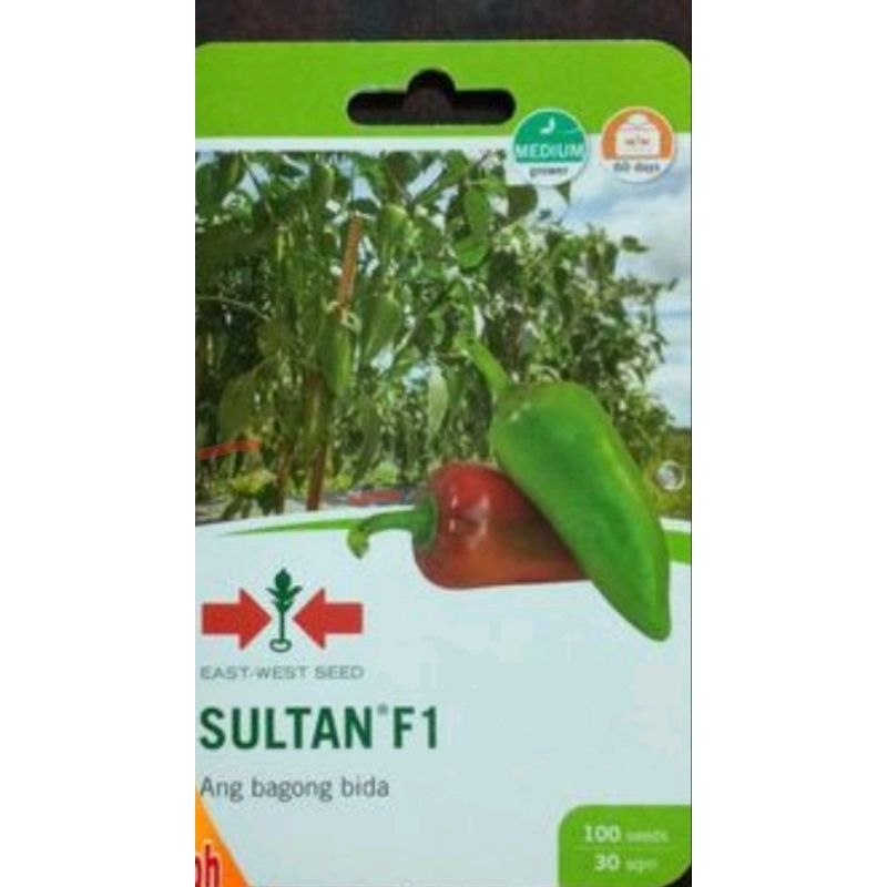 SWEET PEPPER SULTAN F1 (100 SEEDS) HYBRID ATSAL BY EAST WEST SEEDS ...