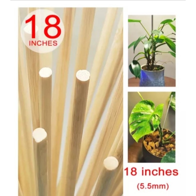 18 inches Bamboo Plant Support/Dowel | Shopee Philippines