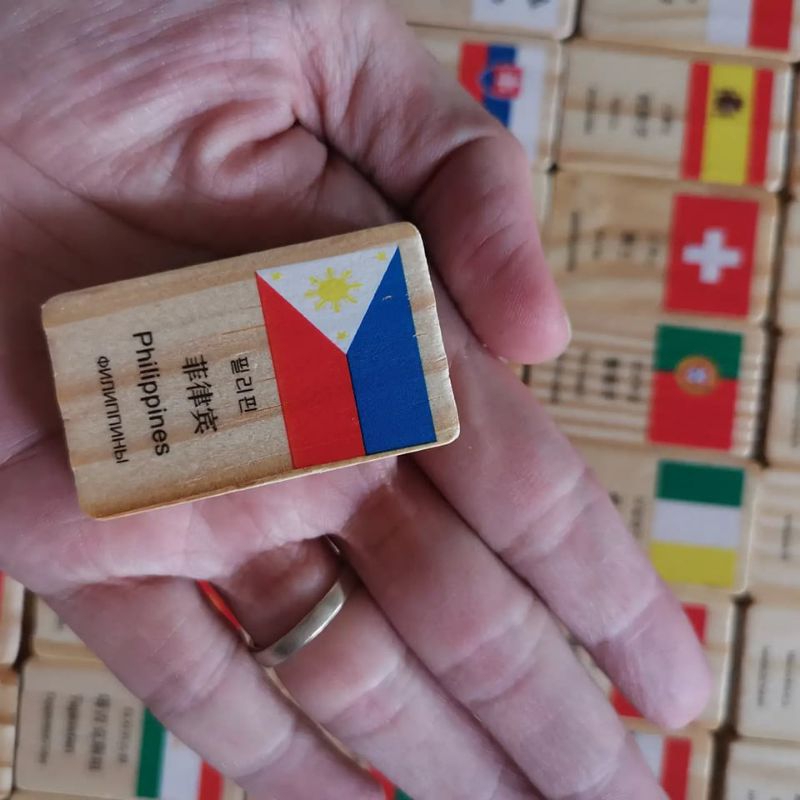 100 pcs domino flag of 100 countries wooden flag dominoes | Shopee ...