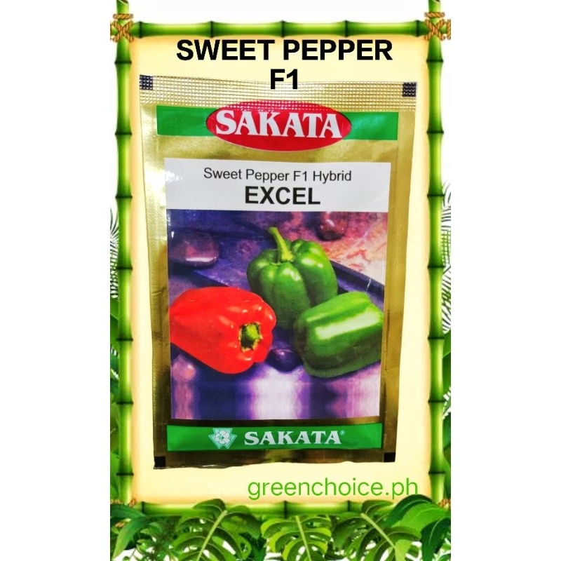 Bellpepper Excel F1 hybrid Sweet Sakata Seeds 10g | Shopee Philippines
