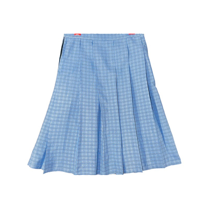 JONA School Uniform Checkered (blue) Skirt/palda (only) for Girls Teens ...