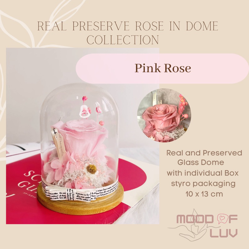 Real Preserved Rose In Glass Dome | Shopee Philippines
