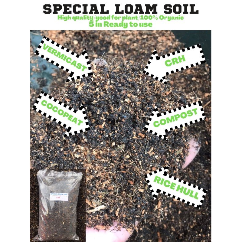 SPECIAL LOAM SOIL ( ready to use for vegetable plant & ornamental plant ...