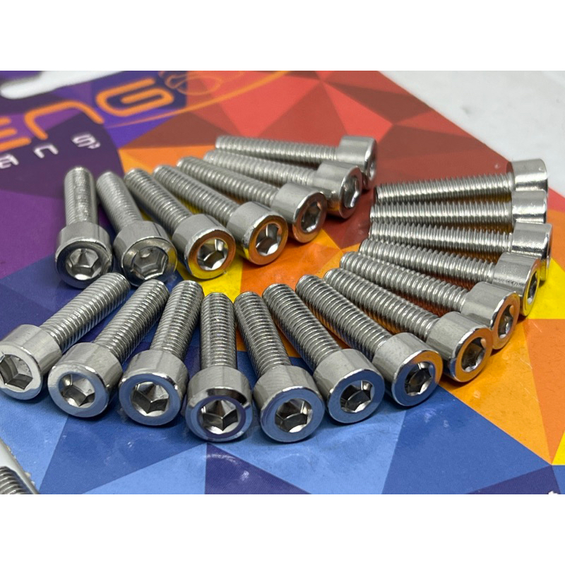 Stainless steel bolt 6x25 (Sold per piece) | Shopee Philippines