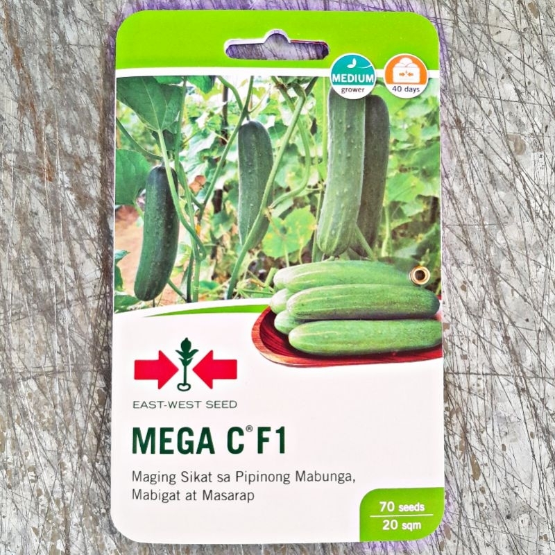 MEGA C F1 HYBRID CUCUMBER SEEDS (70 SEEDS) EAST WEST SEED | Shopee ...