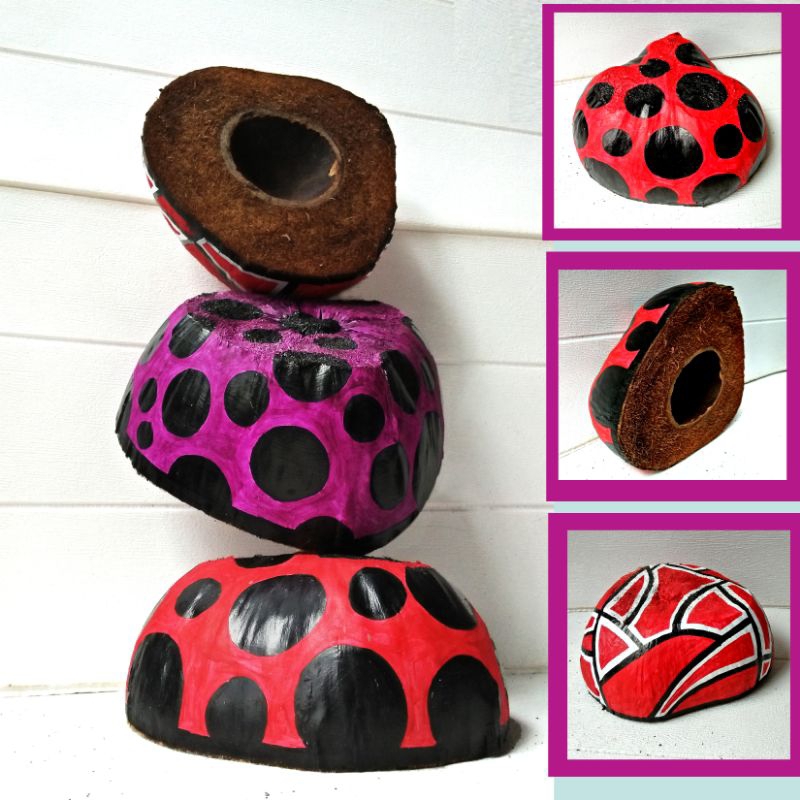 Bunot / Lampaso Filipino Style Coconut Husk Manual Floor Polisher ...