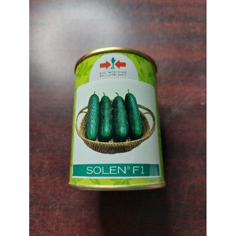 SOLEN F1 (50 grams) Hybrid Cucumber / Pipino by East West Seed | Shopee Philippines