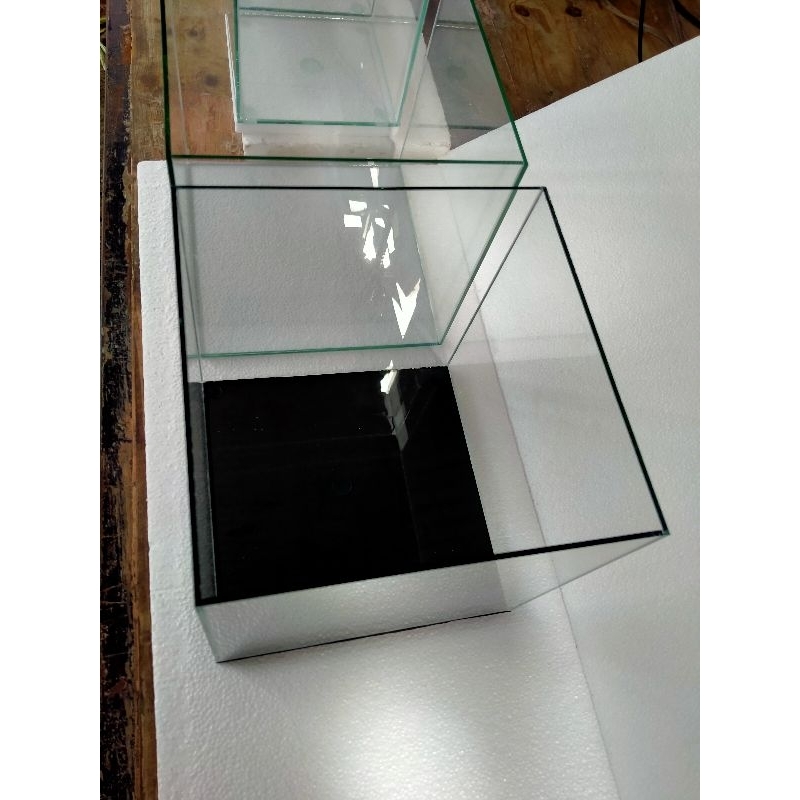 Minimalist Aquarium 4x4x4 Cube Tank for Betta and small fishes/Plants ...