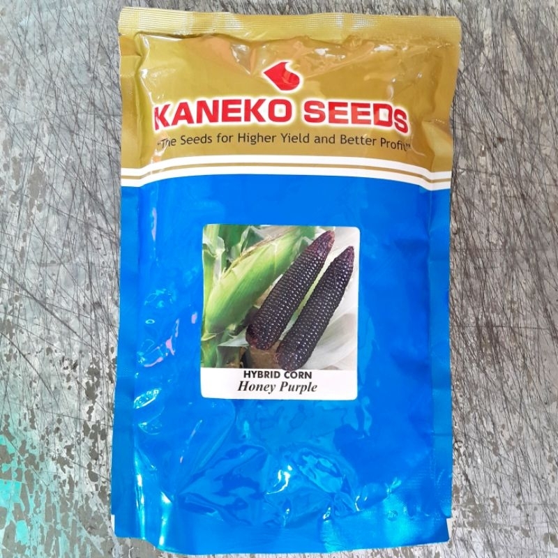 HONEY PURPLE HYBRID WAXY CORN SEEDS (1 KILO) KANEKO SEEDS | Shopee ...