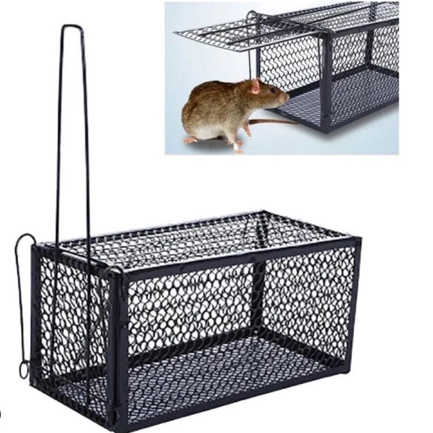 MOUSE TRAP CAGE (BLACK) | Shopee Philippines