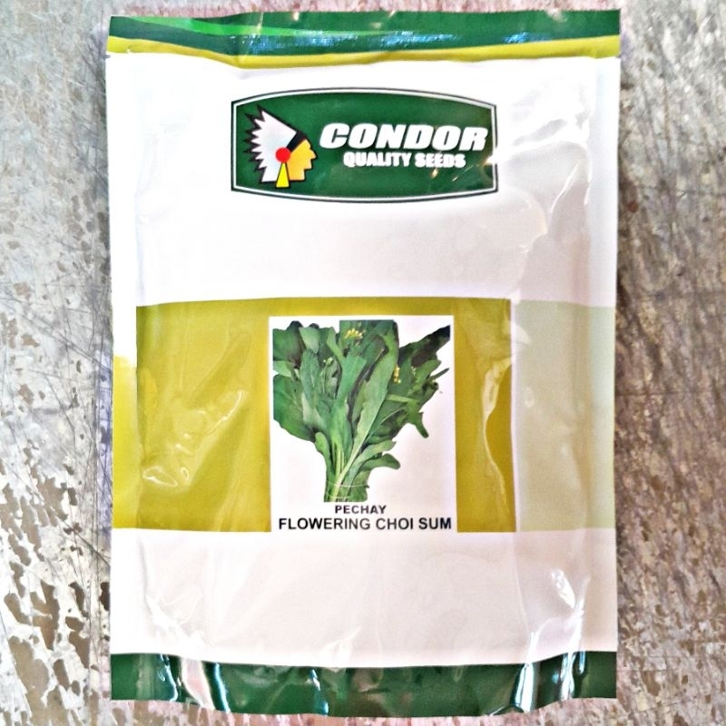 FLOWERING CHOI SUM / CHOYSUM PECHAY SEEDS (1 KILO) by CONDOR | Shopee ...