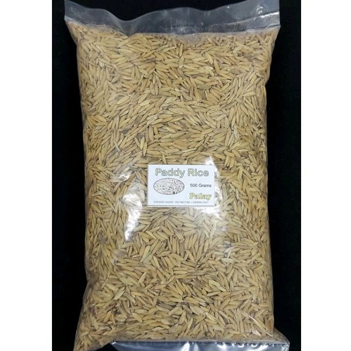 Palay Bird Seeds / Rice with Outer Shell for Birds 500 grams | Shopee ...