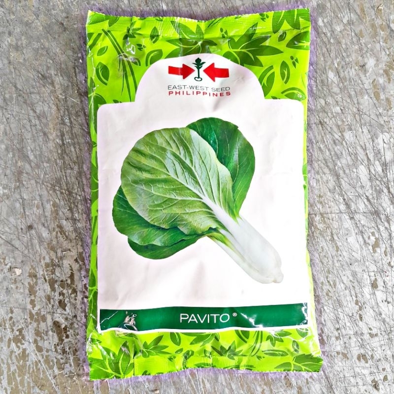 PAVITO OPV PECHAY SEEDS (1 KILO) PETCHAY by EAST WEST SEED | Shopee ...