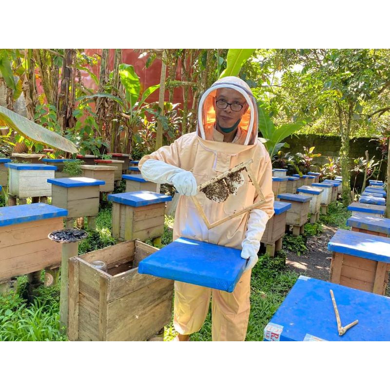 Organic Pure Honey Bee with proof of legitimacy | Shopee Philippines