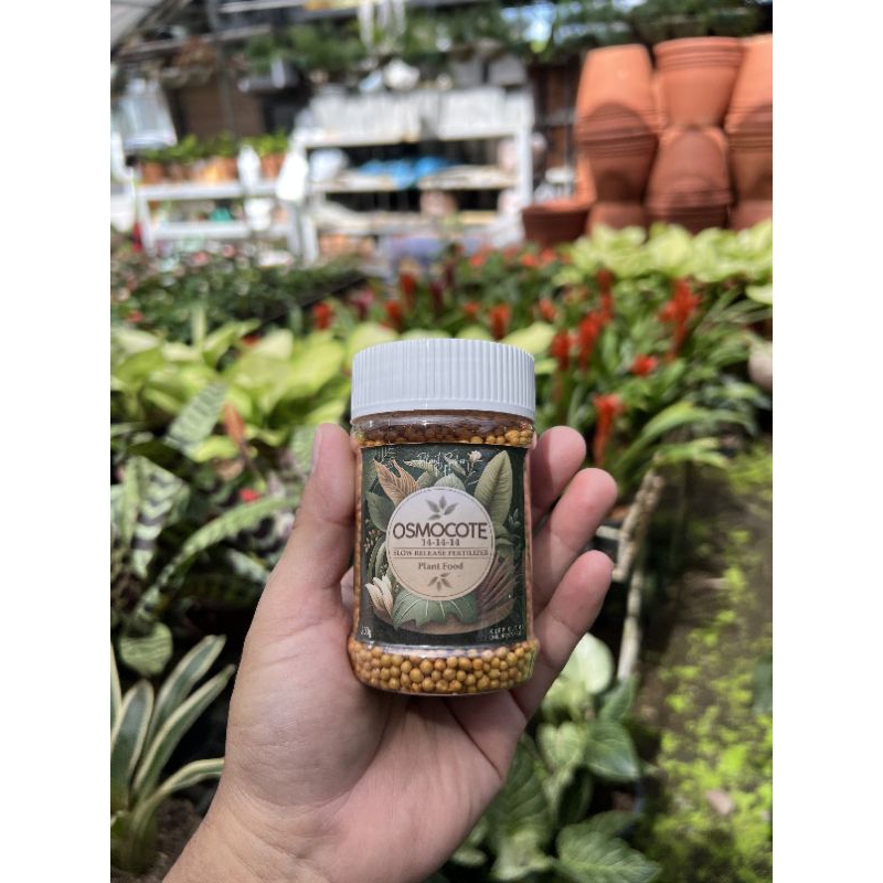 Osmocote Plant Food| Magsisilbing pagkain ng inyong halaman sa loob ng ...