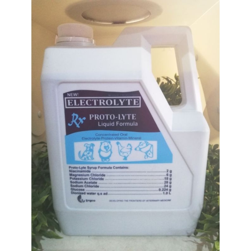 Electrolyte Proto-Lyte Liquid Formula (1Litter) | Shopee Philippines