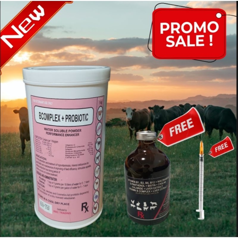 probiotic powder 1 kilogram + 100ml bcomplex with liver extract + 1ml ...