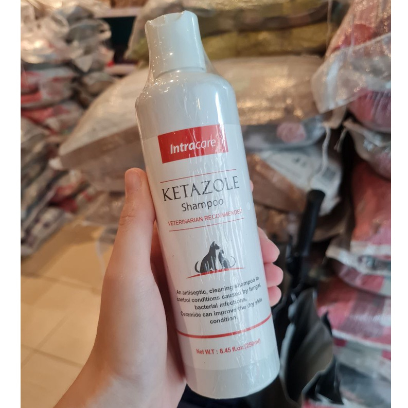 Ketazole Medicated Shampoo for Dogs and Cats 250ml (Vet Recommended ...