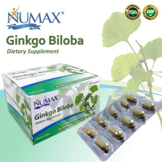 Numax Gingko Biloba (100 Capsules/BOX) FOR BRAIN MEMORY ENHANCER ...