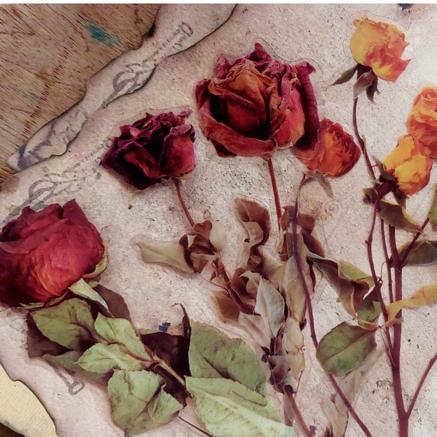 Vintage Roses Dried Flowers & Leaves Stickers (Sold Per Sheet) | Shopee ...